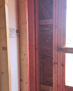 Mold Prevention in Charleston, SC | Schedule Service